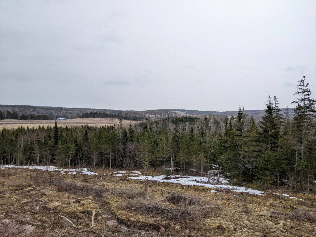 The Importance of Using a Land Agent – Call Toll Free: (800) 567-3033